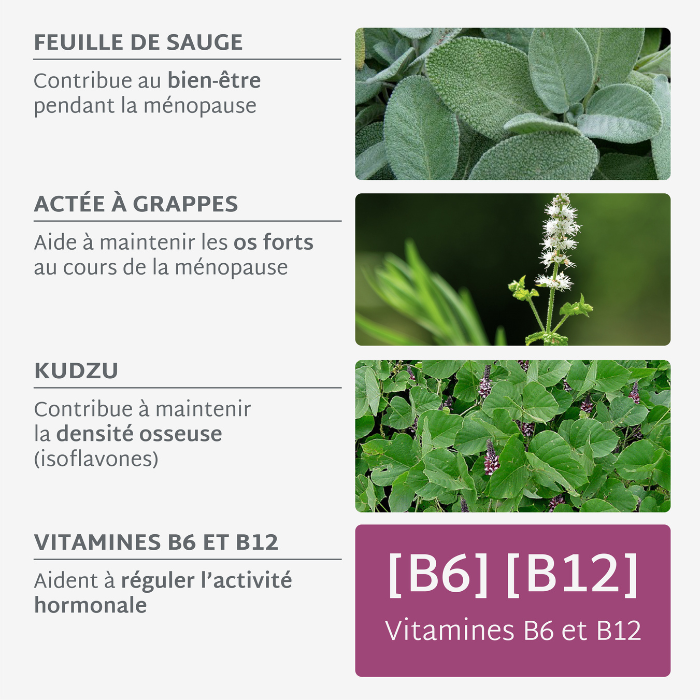 Mium Lab | Gummies Ménopause pour réduire les bouffées de chaleur